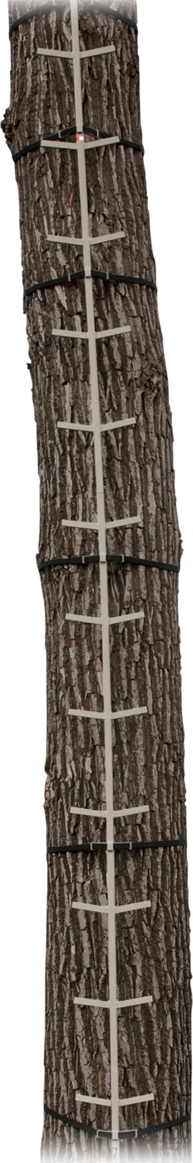API Outdoors Alumi-Tech 20' QuikStik | Cabela's